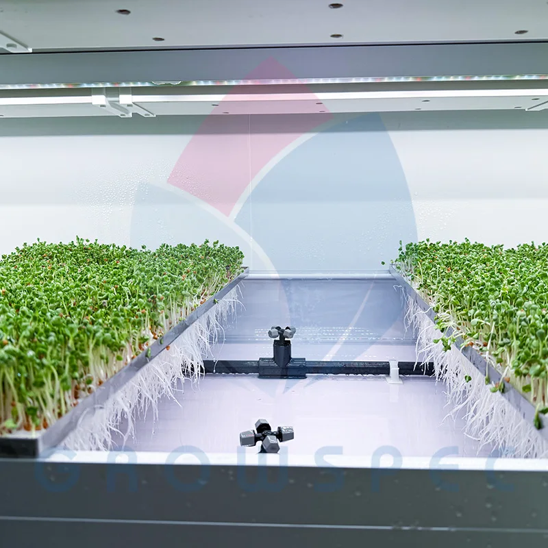 Vertical Farming Shipping Container - Auto Climate Control