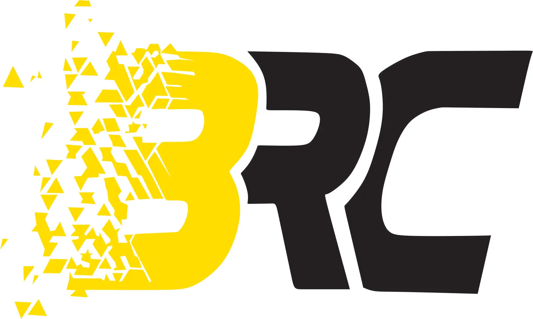 Company Overview - BIG RAY CORPORATION