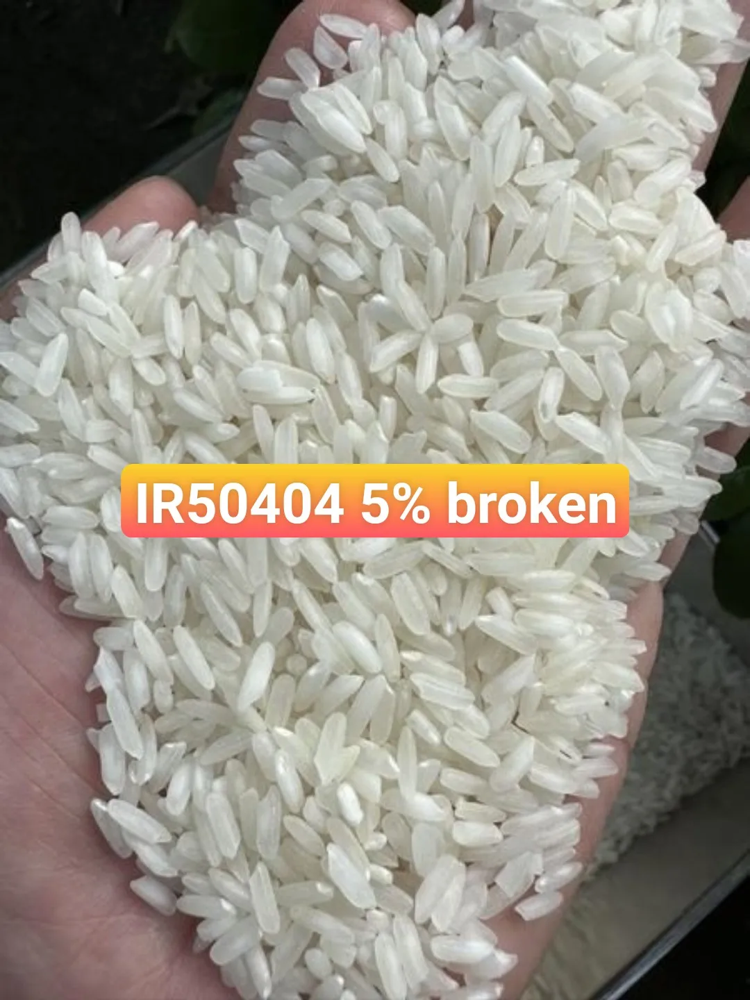 Parboiled Rice/basmati Rice Long Grain Rice For Sale - Buy Top Quality ...