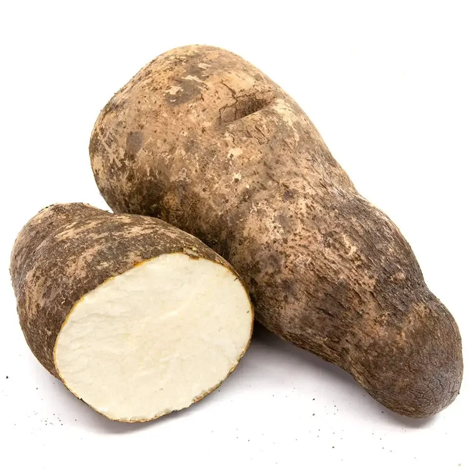 Fresh Natural White Yams For Sale From Europe - Buy Fresh Natural White ...