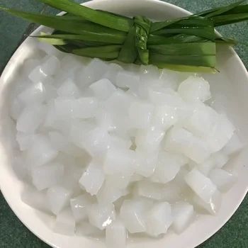 Coconut Jelly Vietnam Nata De Coco Jelly For Export Wholesale Ms