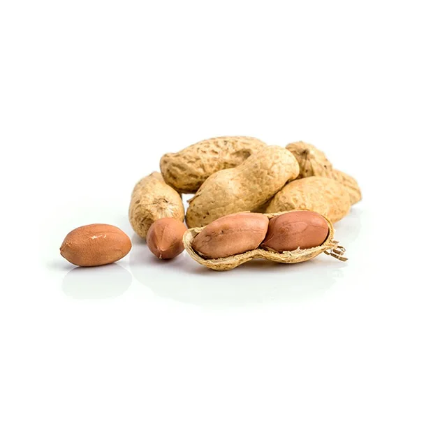 High Quality Raw Peanuts Without Shell Raw Peanuts Blanched Peanut Kernels - Buy Pure Origin ...