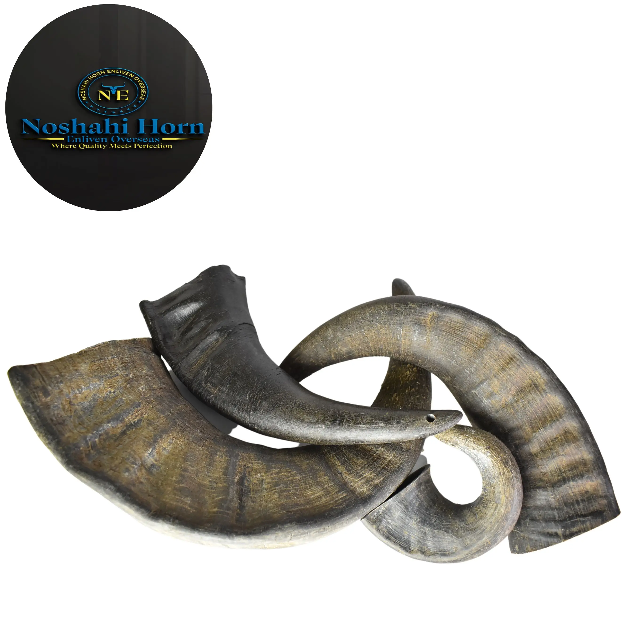High Quality Natural Dried Buffalo Horn Pet Chew Toy Export Quality ...