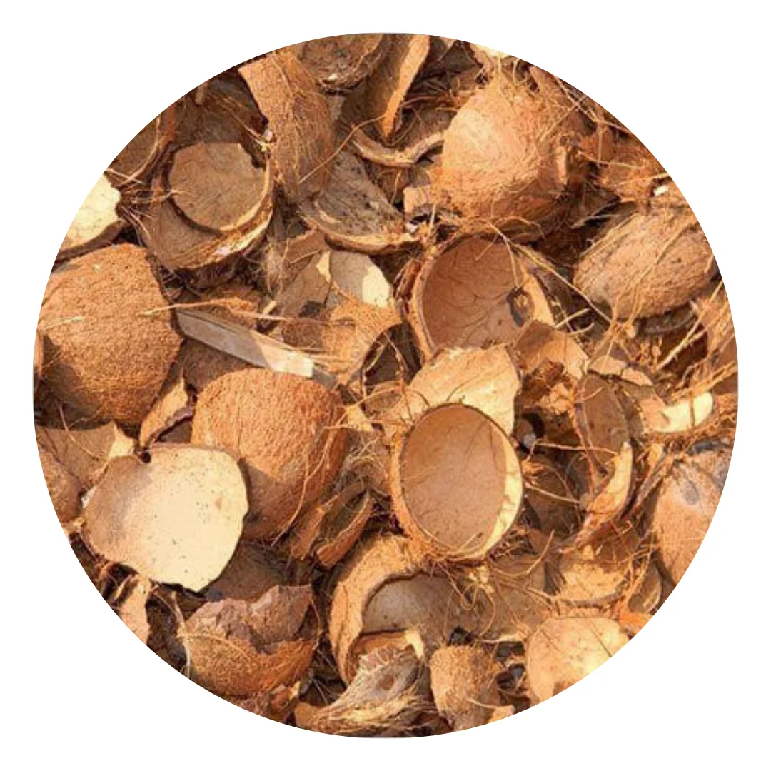 Vietnam Manufacturer Raw Dried Coconuts Shell/ Broken Coconut Shell For ...