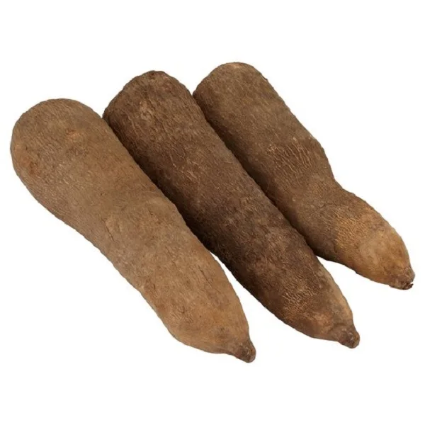 Fresh Natural White Yams For Sale - Buy Fresh Yam,New Delicious And ...