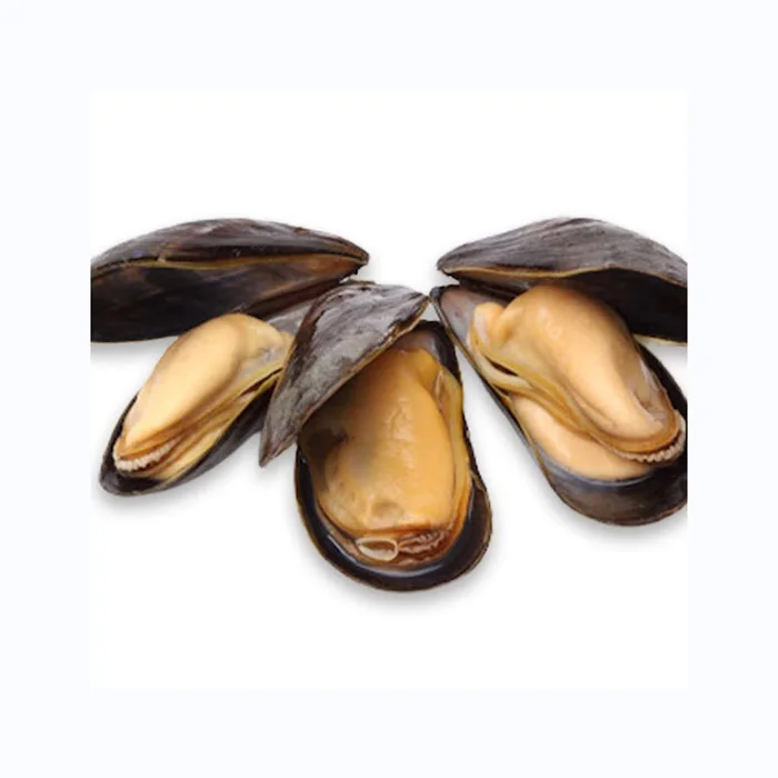 Frozen Seafood Mussel Half Shell Mussel Meat Frozen Shellfish For Sale ...
