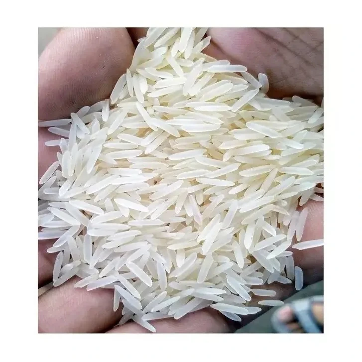 Wholesale 2024 Super Basmati Long Grain White Long Grain Rice Fresh ...