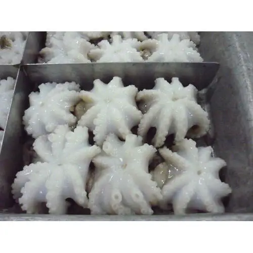 Cheap Frozen Baby Octopus/big Size Octopus With Competitive Price ...