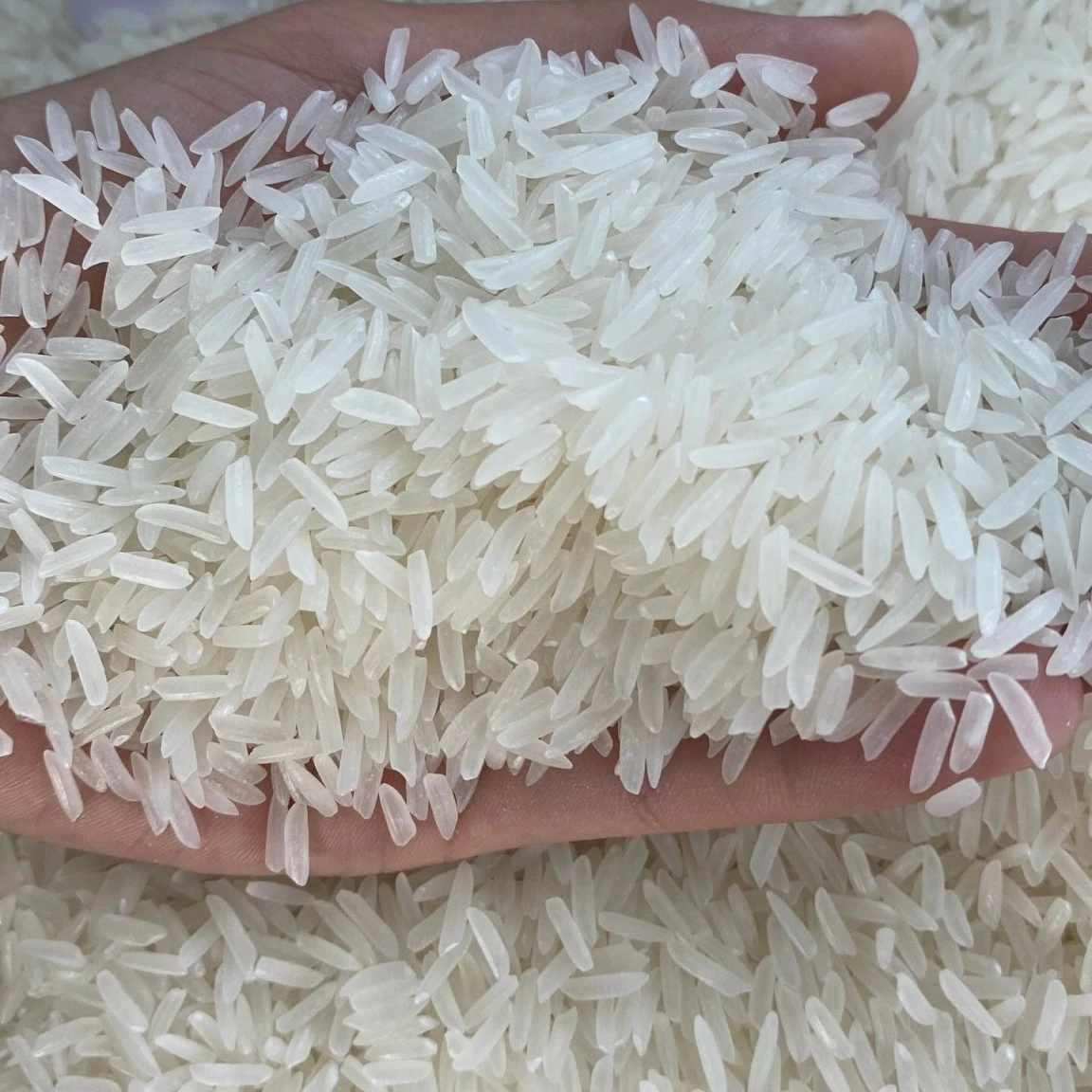 Jasmine Rice (whatsapp: +84865381935) - Buy Rice,Jasmine Rice ...