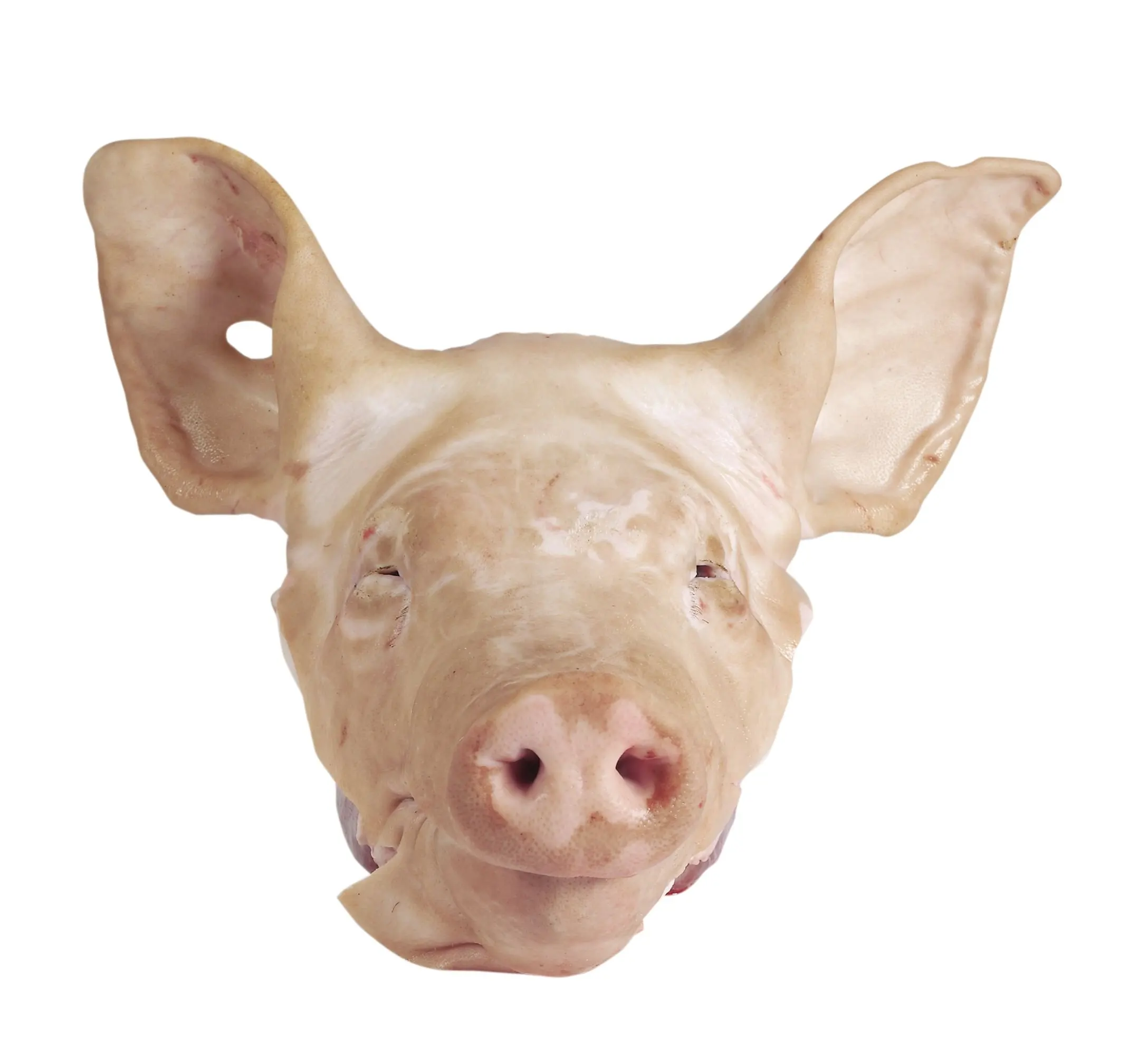 High Quality Pork Head Without Earstongue And Jowls Professional Supplier Frozen Pork France