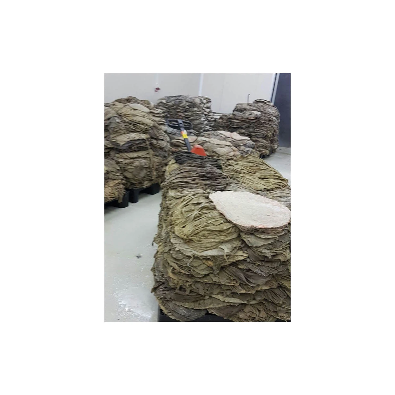 Frozen Salted Beef Omasum Beef Tripe - Buy Bulk Salted Beef Omasum Dry ...