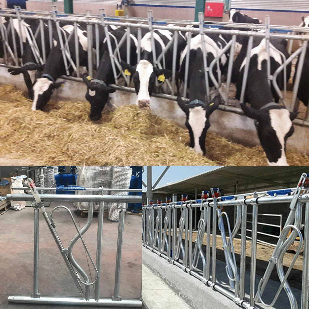 Cattle Feeding Systems Animal Feeder Lock System| Alibaba.com