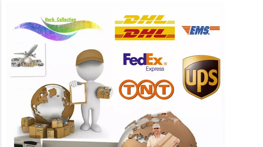 High Quality Natural Gallstones Sell Gallstones Cow Gallbladder Stones ...