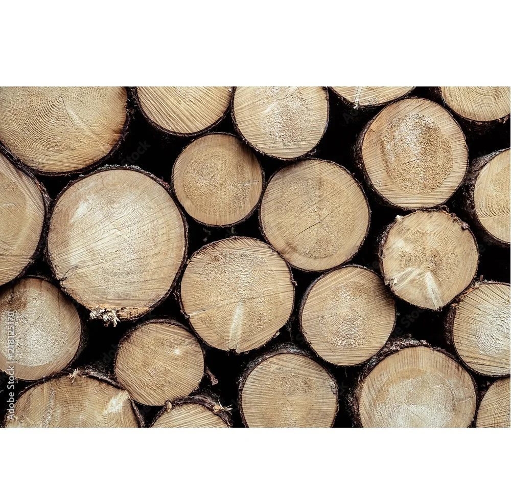 Spruce Wood Logs For Export - Sustainable And Responsible Sourcing ...