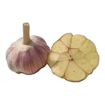 Bulk Pure Normal White Fresh Garlic The Garlic Market Price For ...