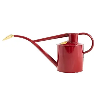 Modern Designing Water Can Handmade Stylish Metal Watering Can With ...