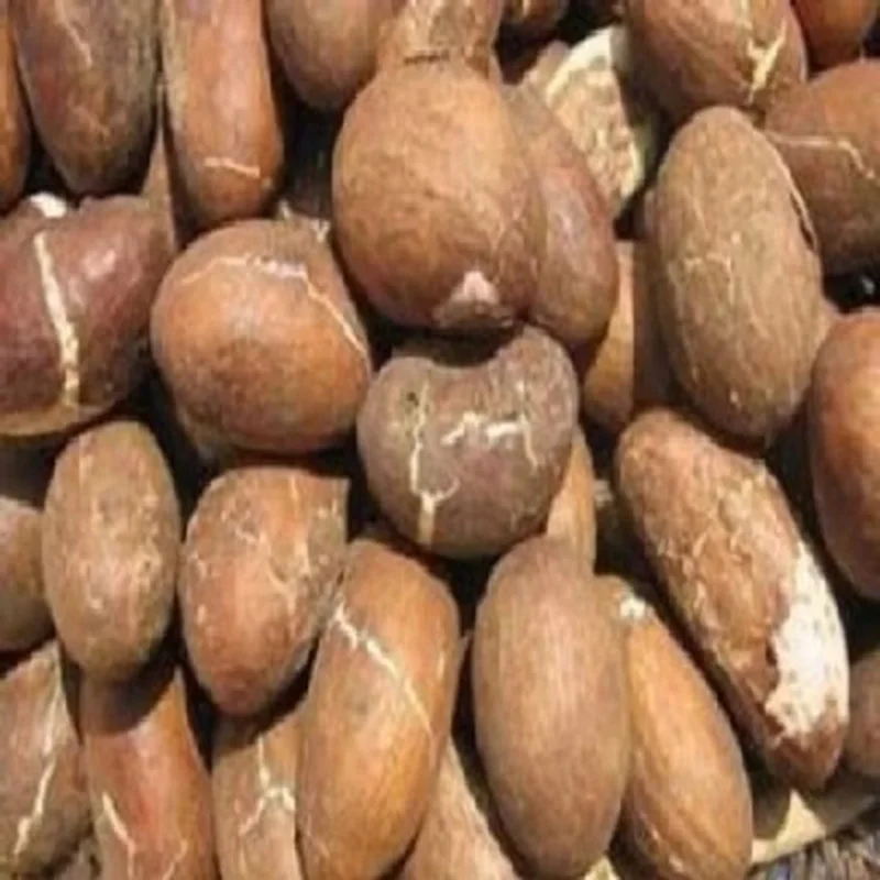 Wholesale Fresh Organic Bitter Kola Nuts Available - Buy Good Quality ...