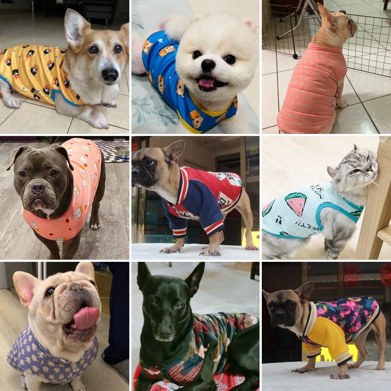 Xxs~m High Quality Rescue Clothing Swimming Suit Custom Size Luxe Dog ...