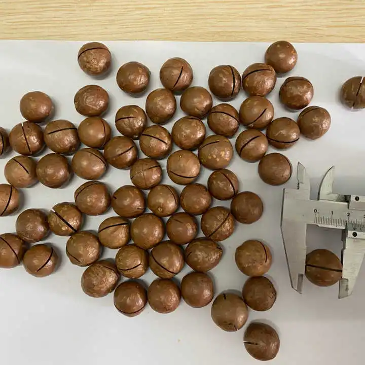 Macadamia Nuts Bag Packaging Vietnam Round a Grade Raw Macadamia Nut ...
