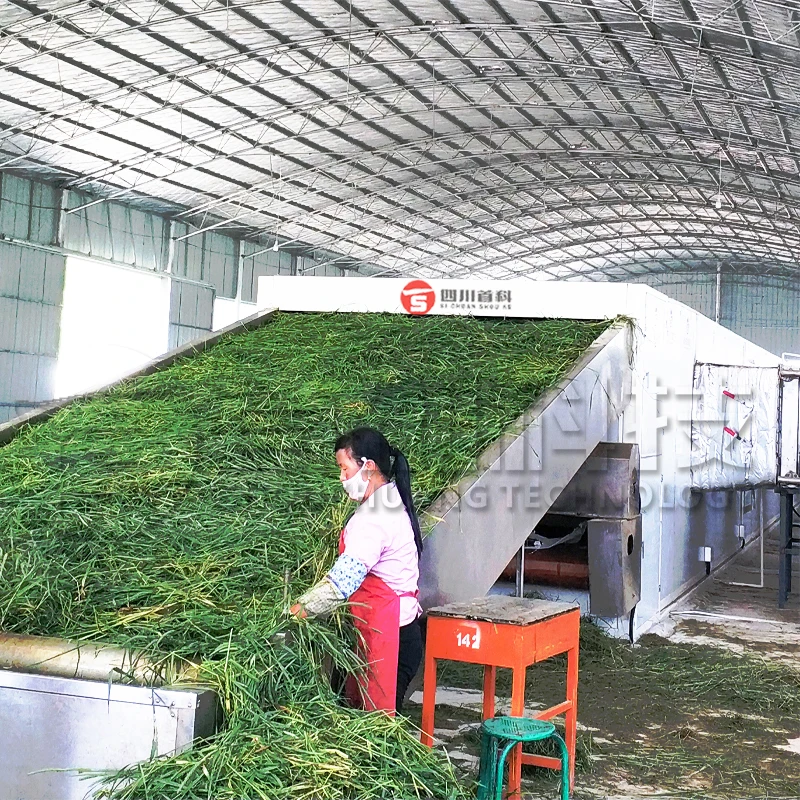20 Tons Dried Kaffir Lime Leaves Mesh Belt Dryer Lemon Leaf Mint ...