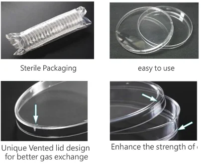 Disposable Plastic Sterile 90x15mm Agar Plates 9 Cm 6cm Petri Dish For ...