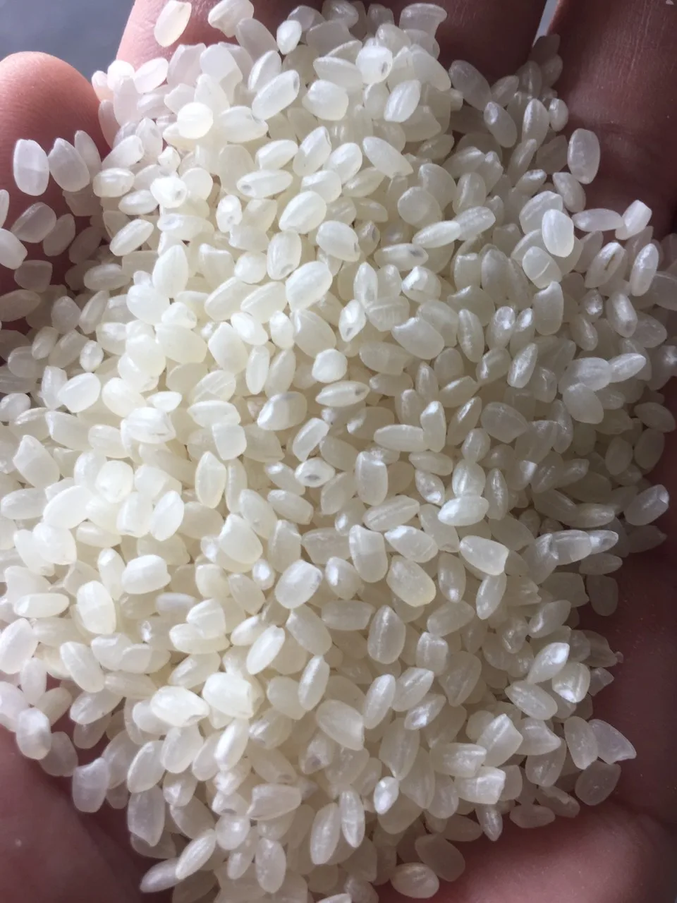 Jasmine Rice - Vietnamese Best Quality Fragrant Rice - Strong Perfume ...