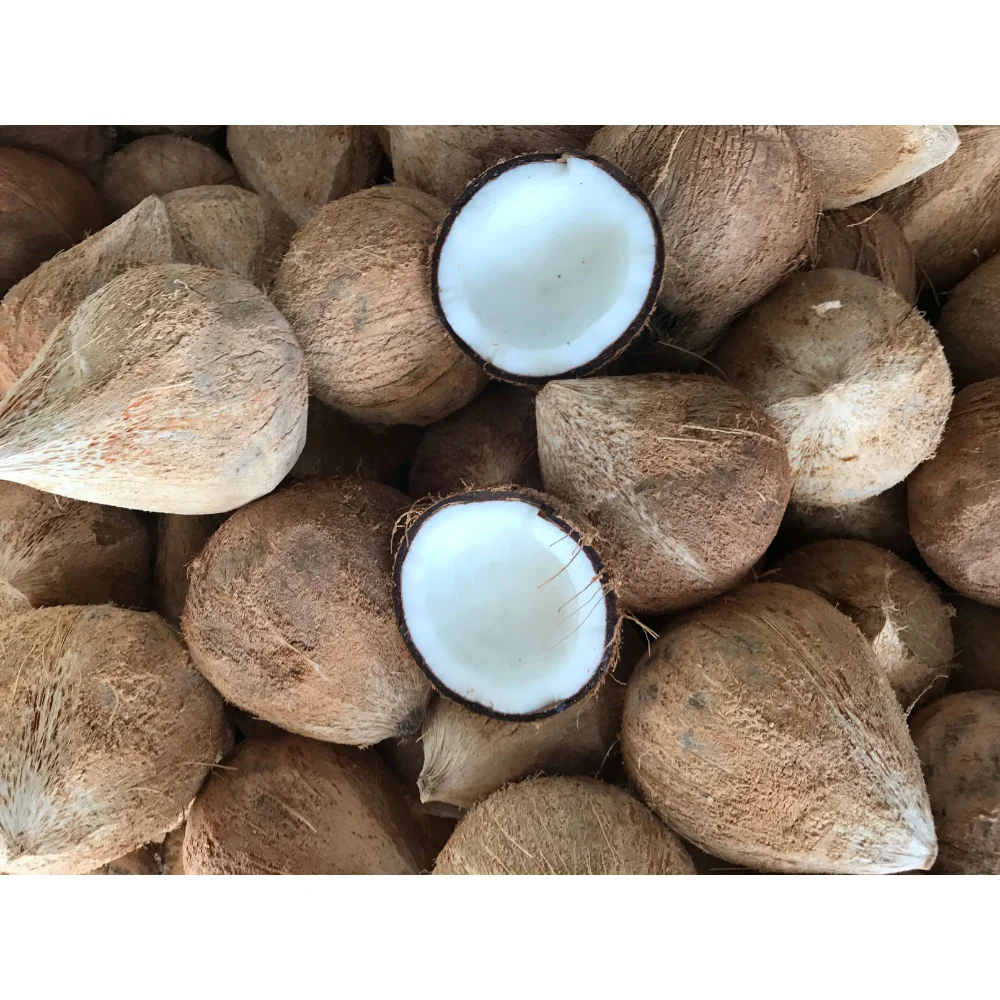 Semi-husked Coconut Cheap Price From Vietnam - Buy Semi Husked Coconut ...