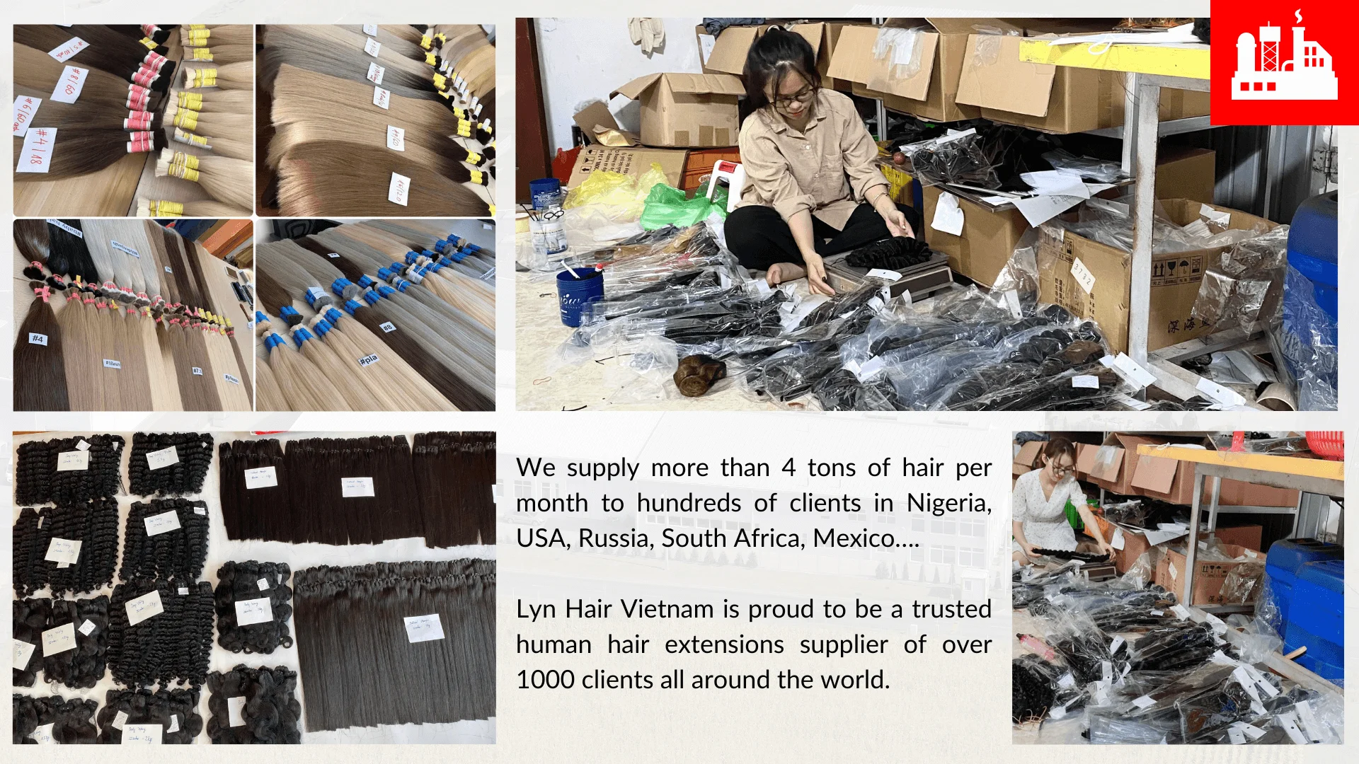 Transparent Hair All Texture Go With Closure 2x4 2x6 4x4 5x5 6x6 13x4 ...