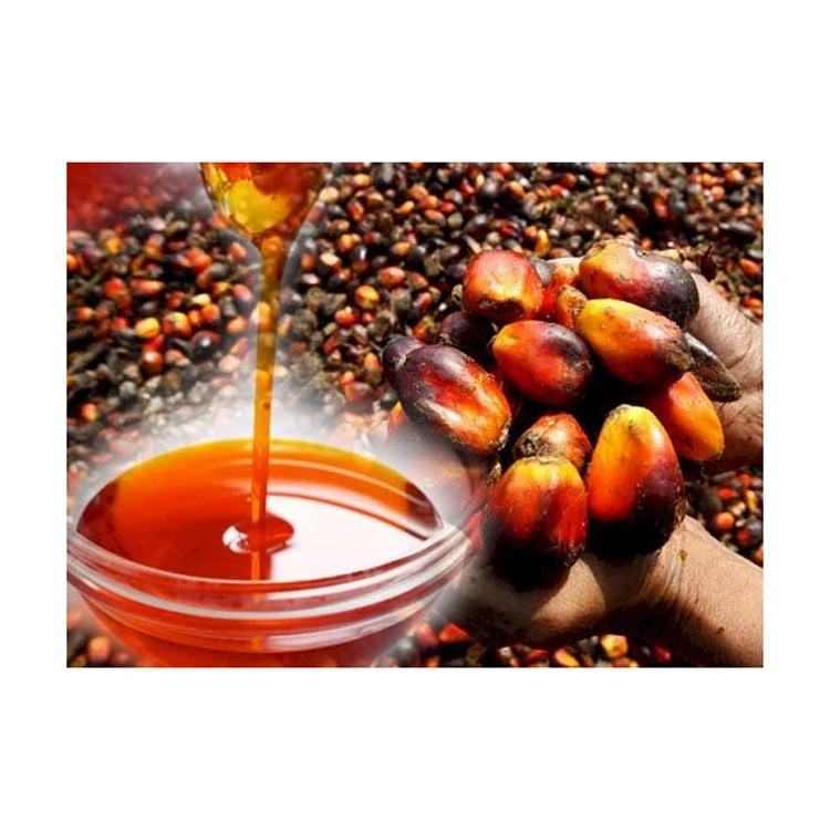 Crude Red Palm Oil (RBD) for Cooking Top Grade 99% Purity 2 Year Shelf ...