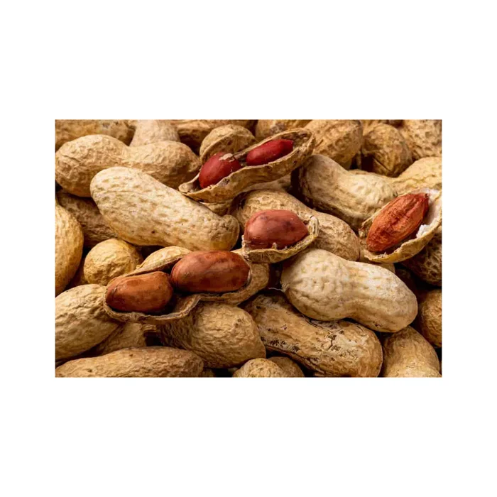 Halal Certificate New Crop Blanched Peanuts Peeled Groundnuts - Buy Red ...