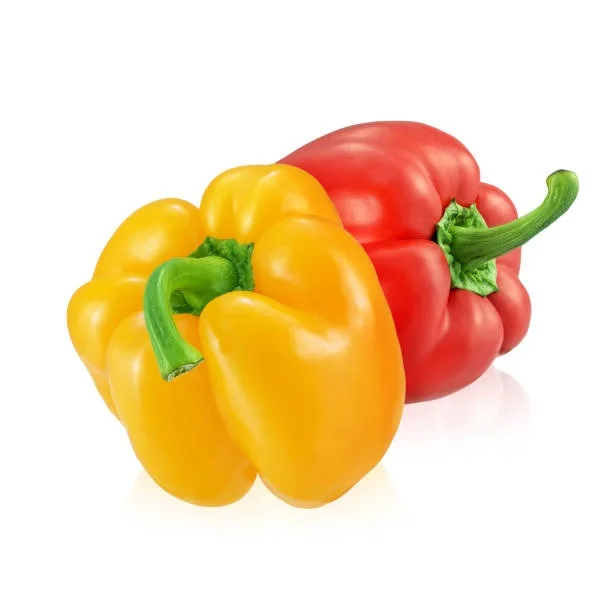 Fresh Capsicum Fresh Bell Pepper Egypt High Quality Fresh Sweet Pepper ...