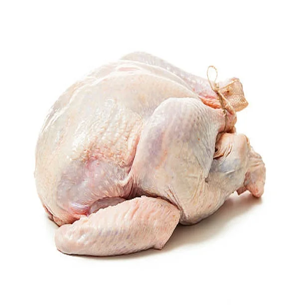Halal Certified Frozen Whole Chicken For Sale / Frozen Halal Haccp Iso ...