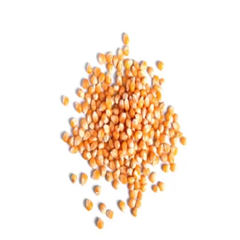 High Quality Bulk Corn Kernels Iqf Kernel Sweet Corn Cheap Price - Buy ...