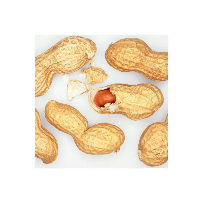 Red Peanut,Blanched Peanut Kernels,Bold Peanutsblanched Peanuts Java ...