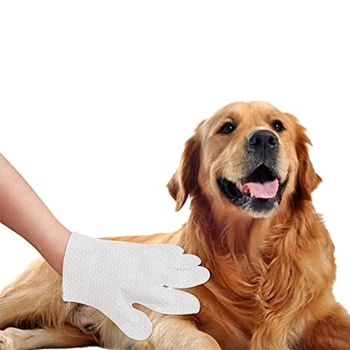 Modern Manufacture Eco-friendly Gloves Wipes Daily Cleaning For Cats ...