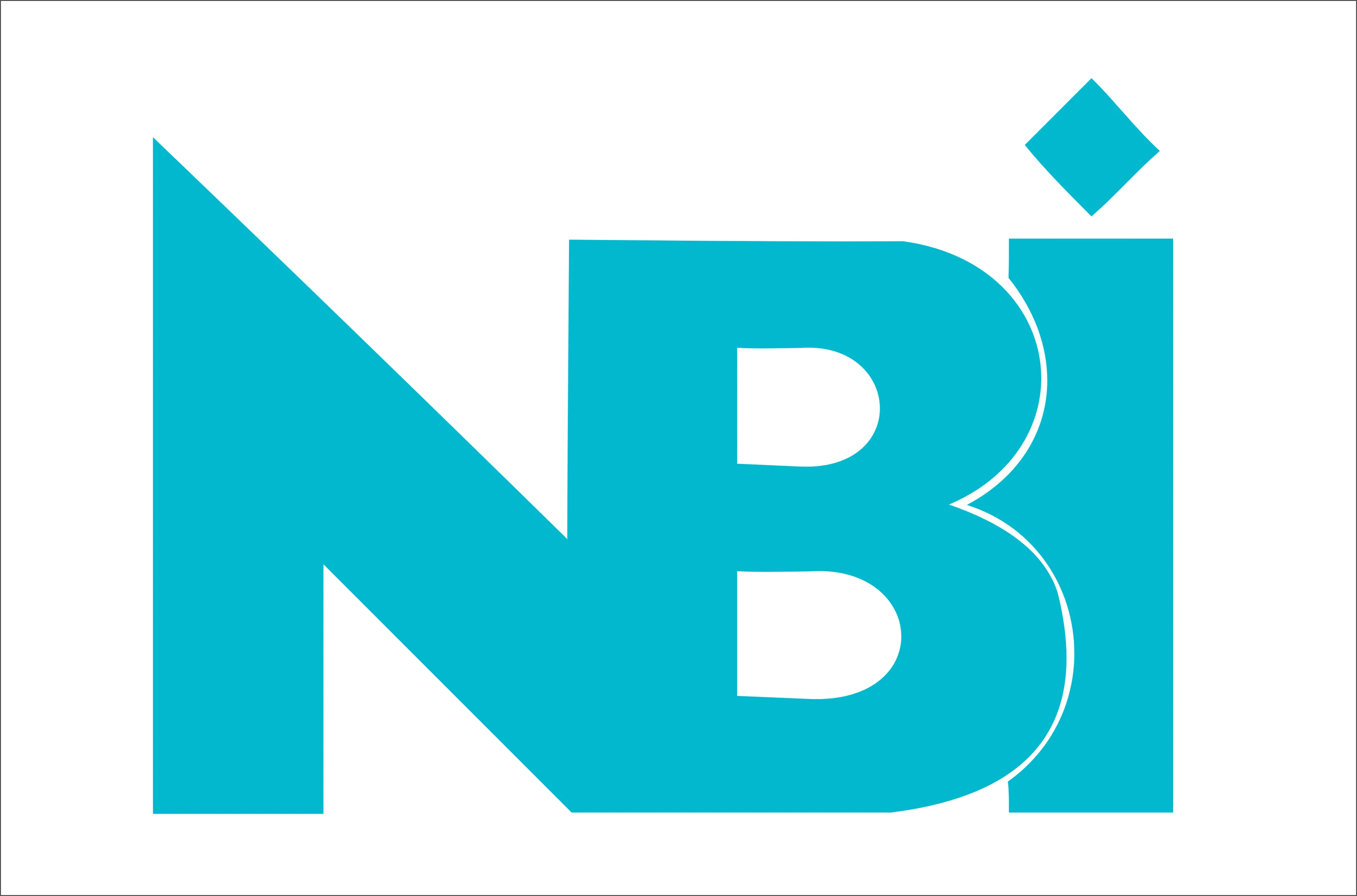 Company Overview - N B INDUSTRIES