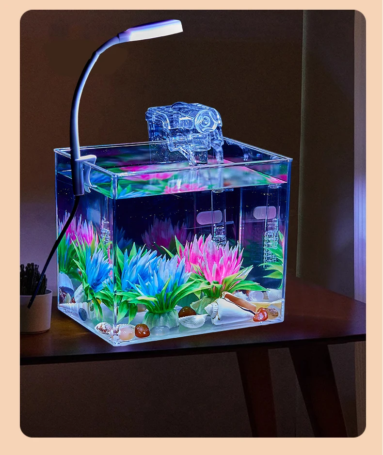 New Arrival DIY Transparent Betta Fish Plastic Tank with Filter ...