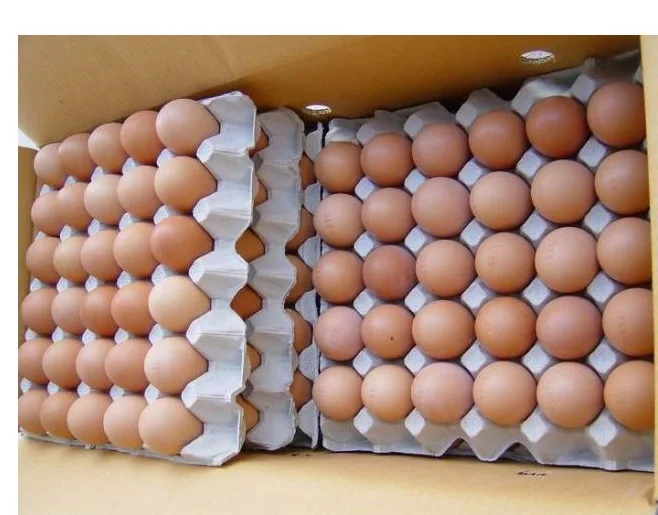 Occ Old Corrugated Containers,Cartons,Cardboard Scrap,Waste Papers,Oinp ...