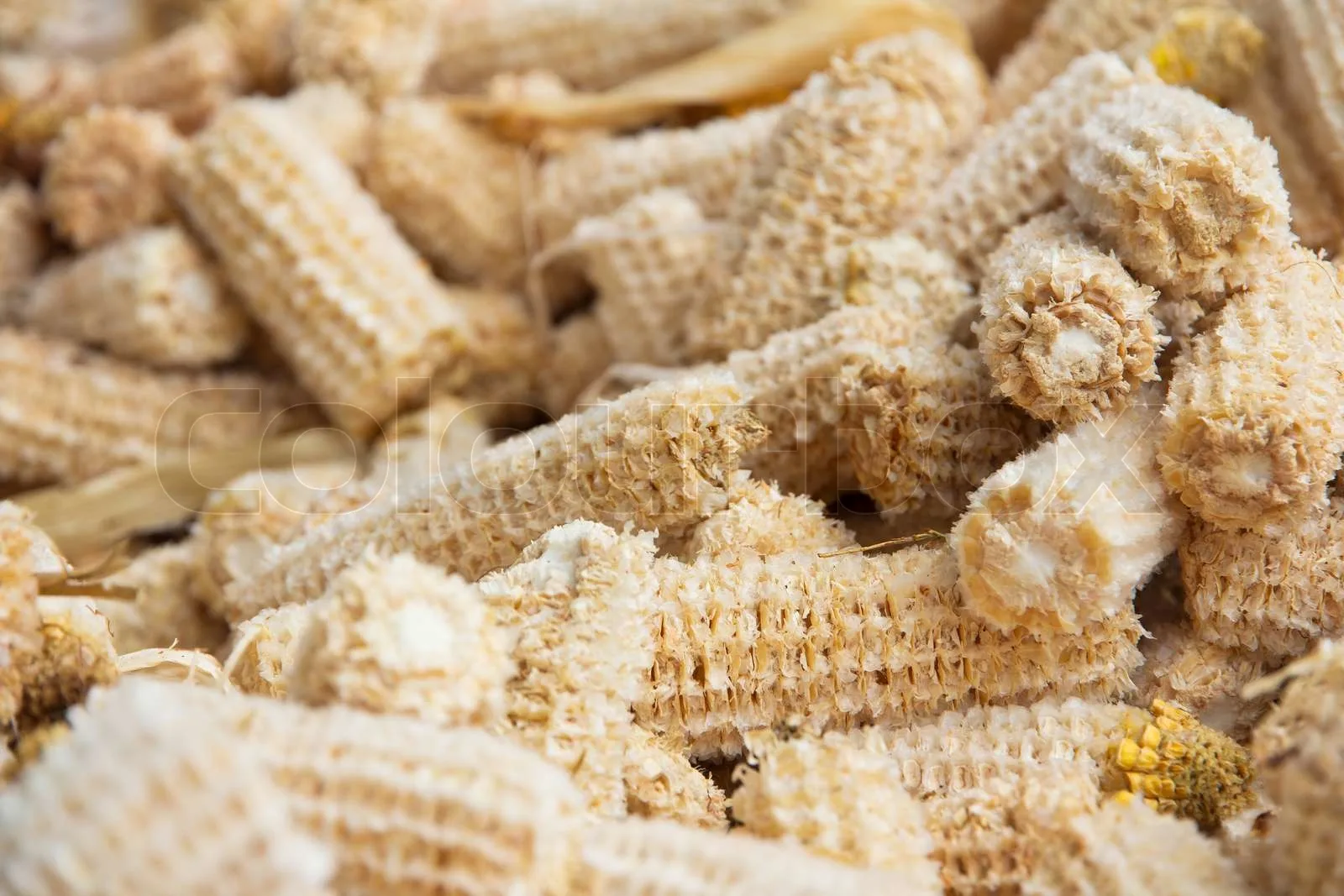 Wholesale Dried Corn Cob - Cheap Price 2024 for Animal Feed
