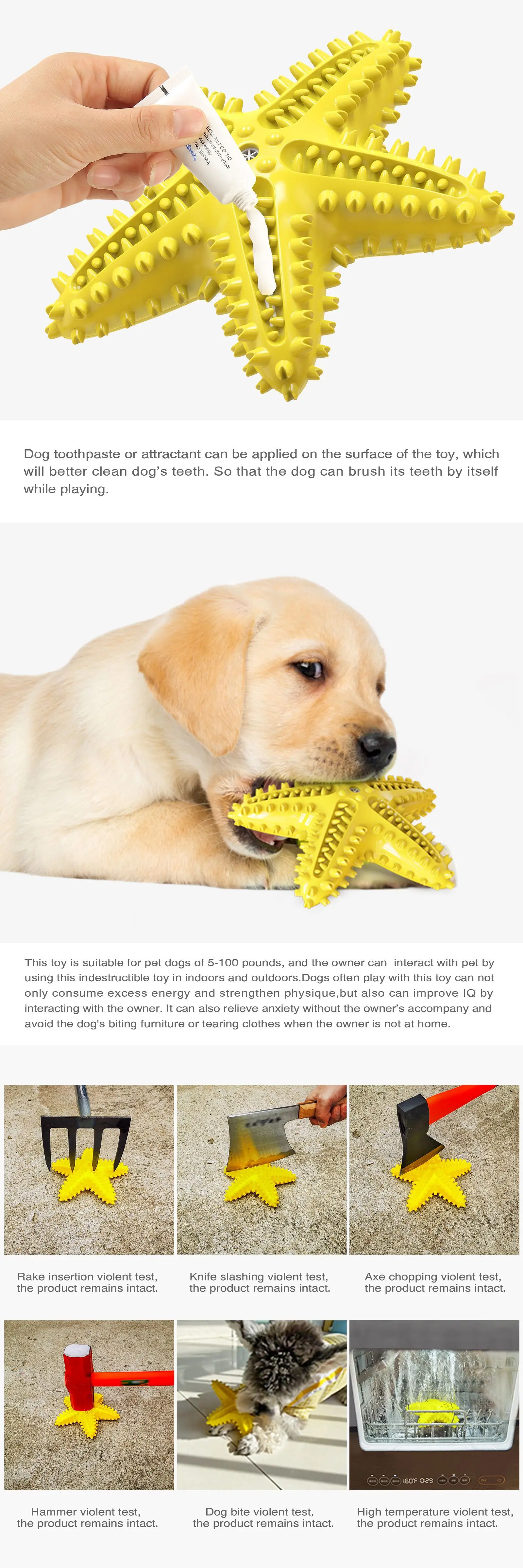 Starfish Design Water Floating Durable Dog Teeth Cleaning Toy - Buy ...