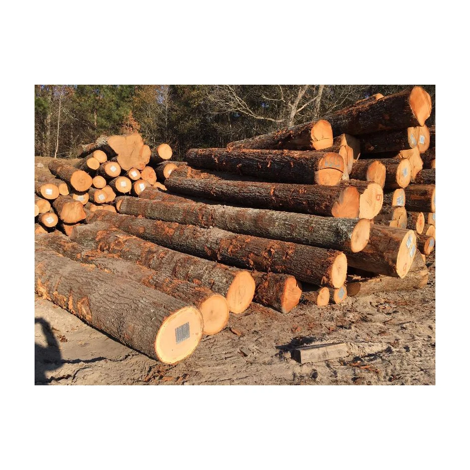 Wholesale Custom Teak Wood Logs Pine Red Hard Wood/Hot Sales Eucalyptus ...