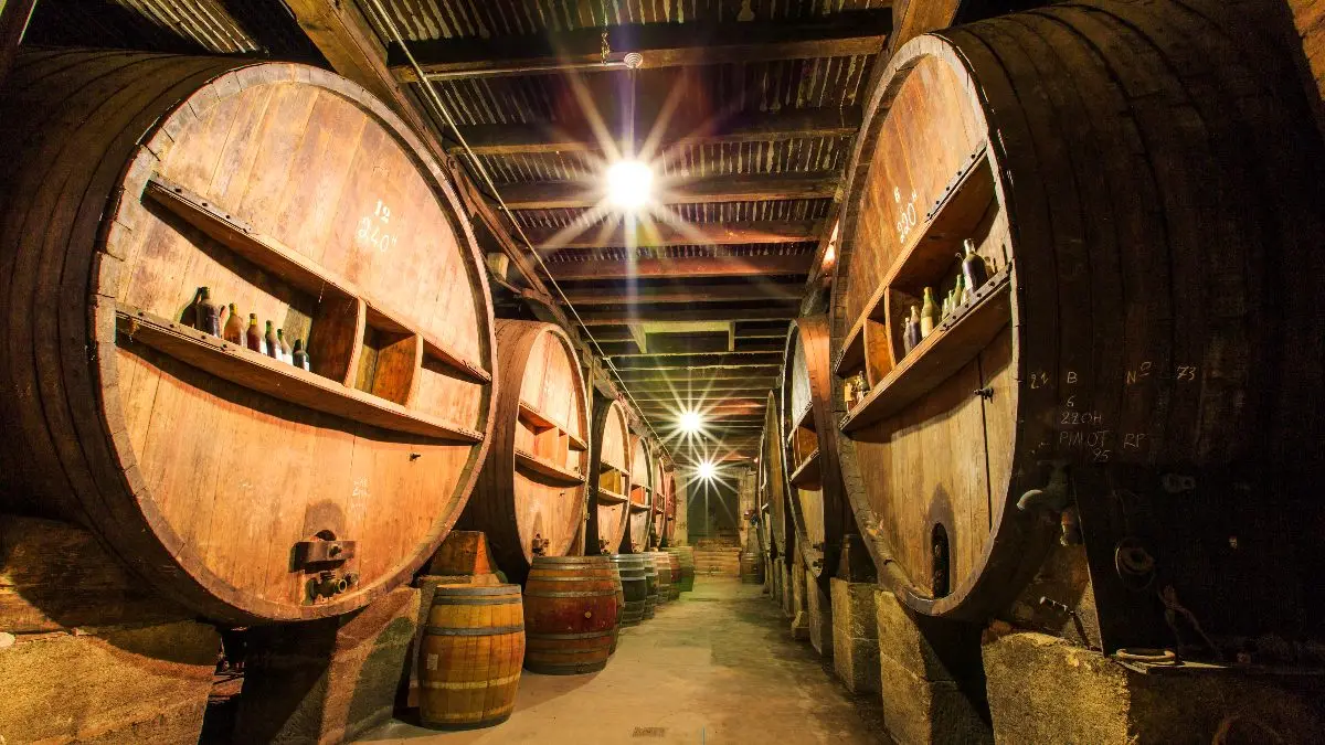 Chateau De Clapier Cuvee Vibrato 2021 750ml French High Quality Luberon ...