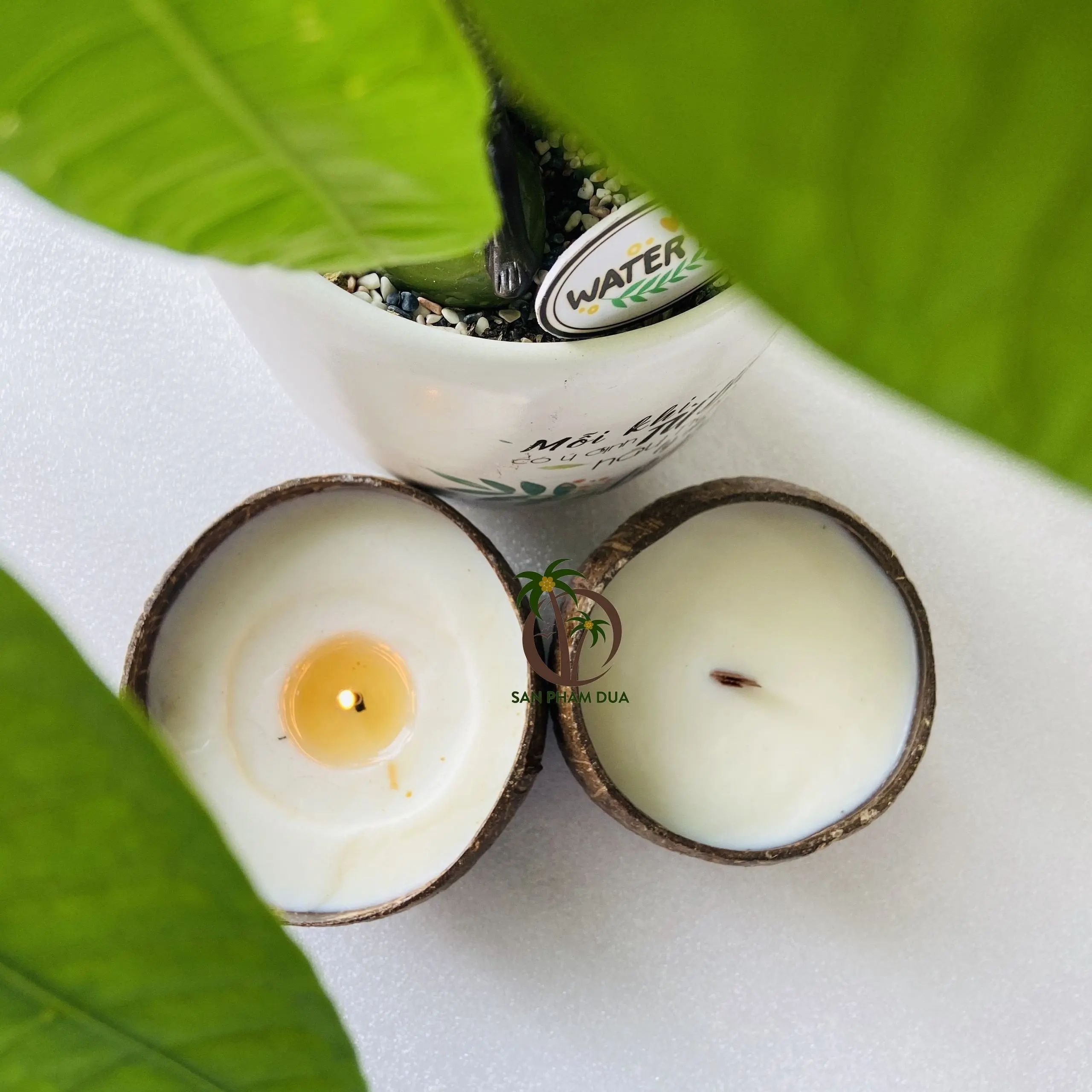 COCONUT SHELL CANDLE BOWL 100% NATURAL and ECO - FRIENDLY / COCONUT ...