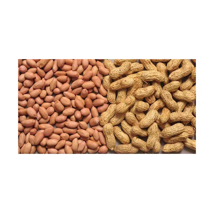Bulk Raw Pure Sun Dried Peanut | Peanuts Prices - Buy Red Skin Peanuts ...