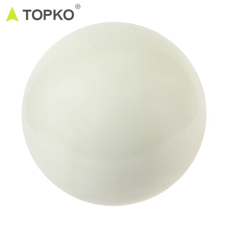 TOPKO High Quality PVC Weighted Ball Filled With Sand Weighted Ball ...