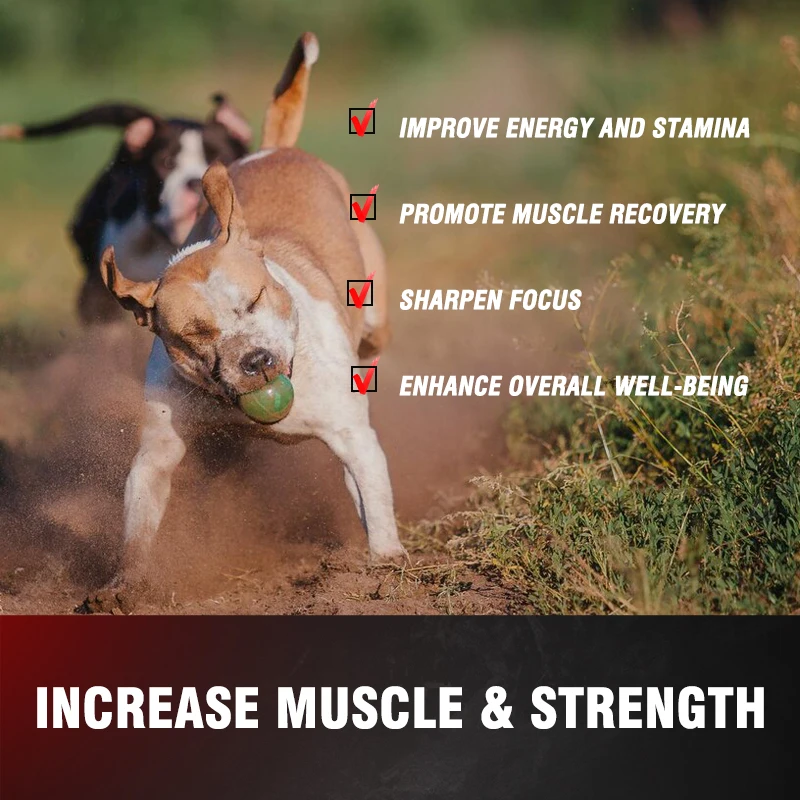 Oem China Pet Supplement Bully Max Muscle Building Chews Supports Dog ...