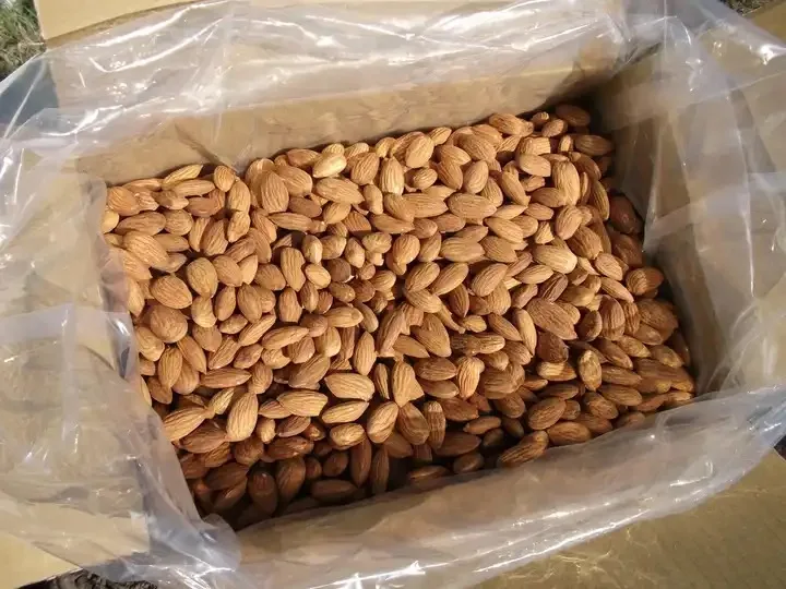 Sweet Tanzanian Almonds Nuts Available/ Raw Almond Nuts Ready For ...