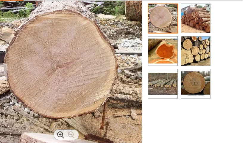 89000 Tons Cheap Timber Logs Teak Wood / Oak Wood Logs / Pine Wood Logs ...