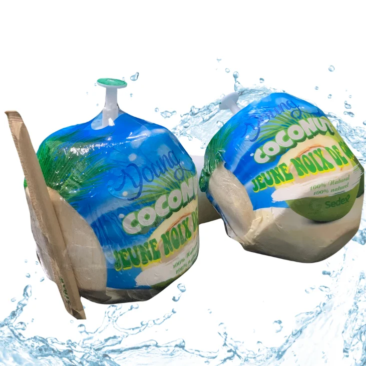 Revolutionize Your Export Strategy With Our Easy Open Coconut ...