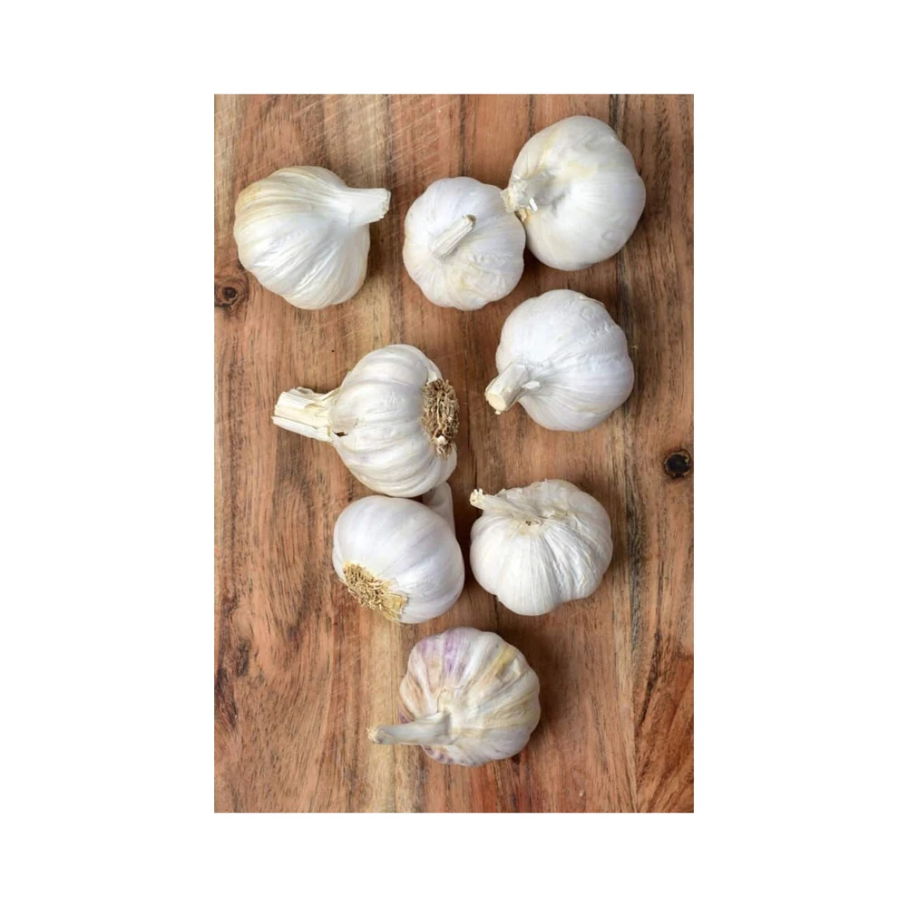 Organic Garlic Powder Money Saving Product Garlic Powder Tested And ...